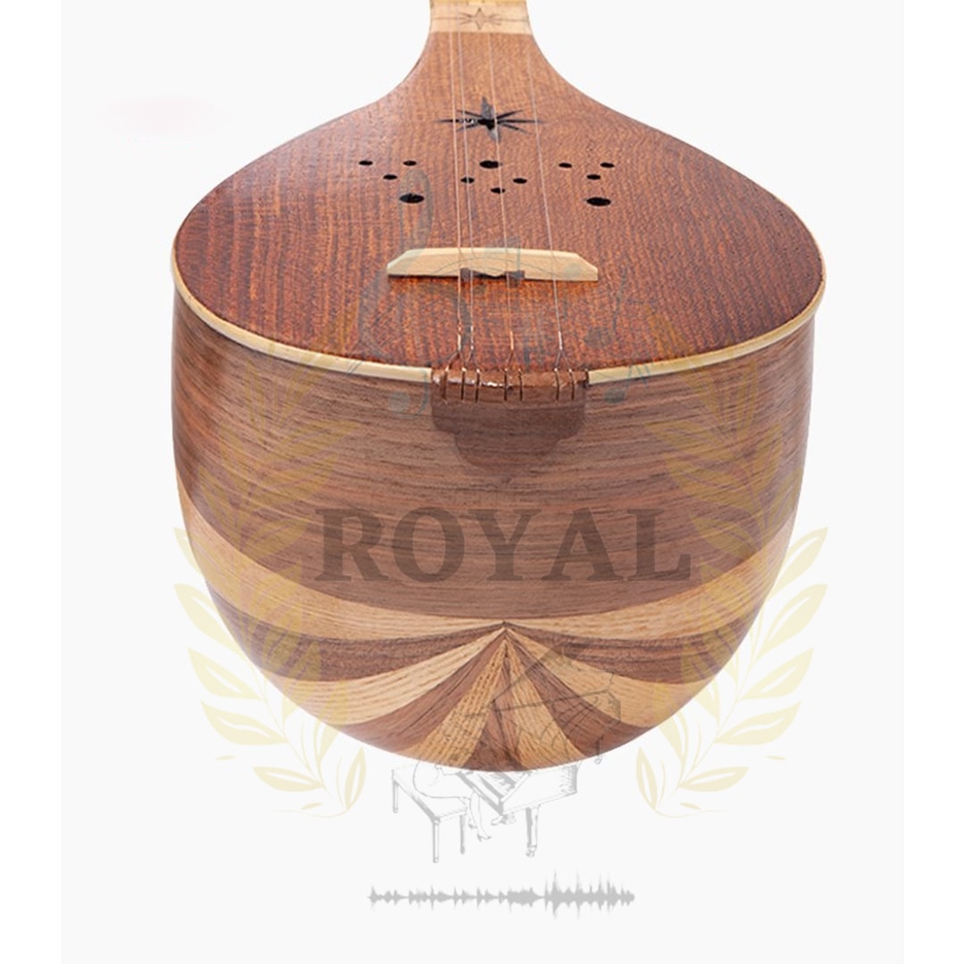 سه تار مفاخری ویژه همراه کاورمخصوص - رویال موزیک 10