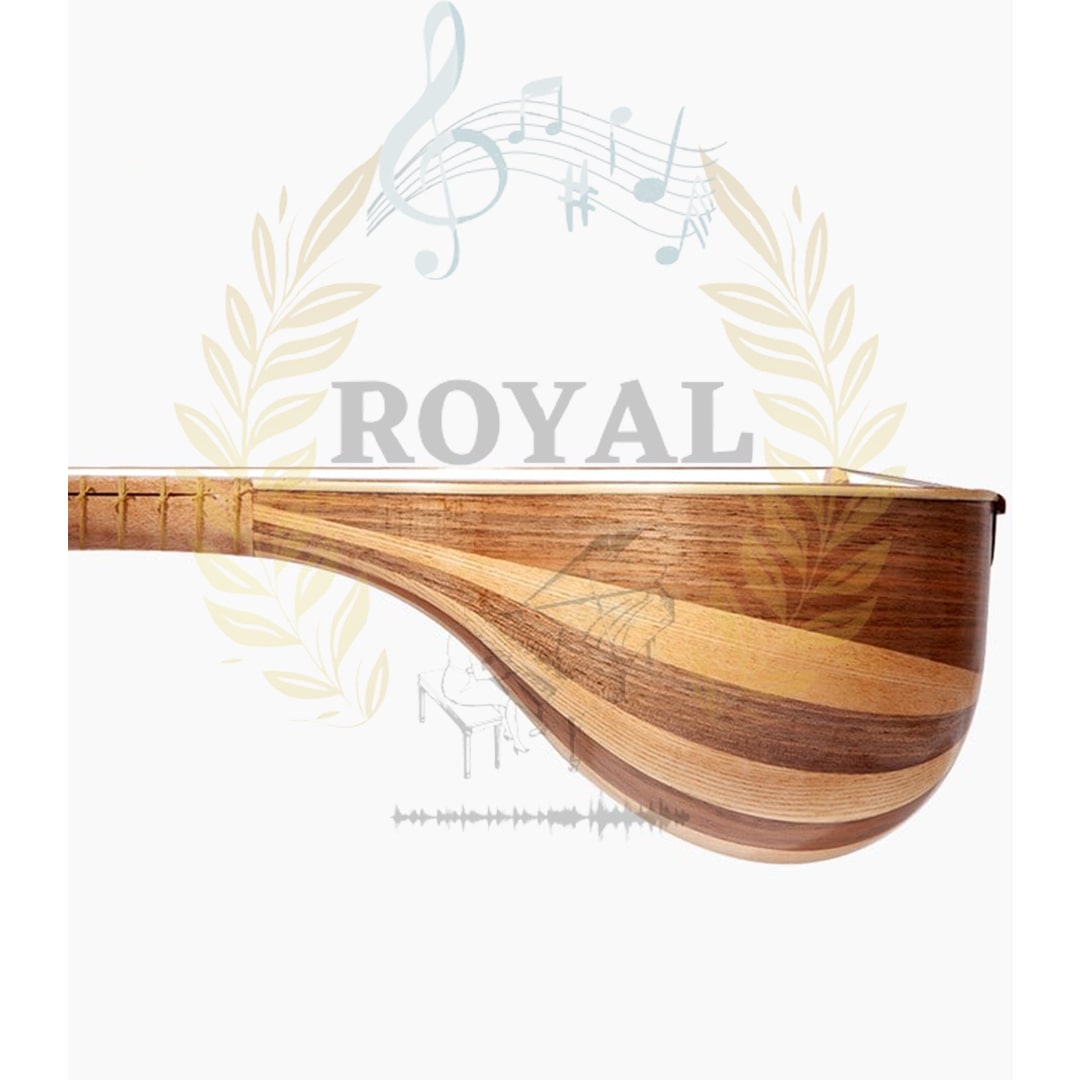 سه تار مفاخری ویژه همراه کاورمخصوص - رویال موزیک 10