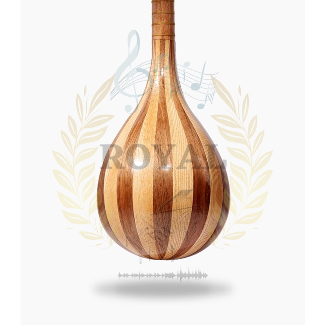 سه تار مفاخری ویژه همراه کاورمخصوص - رویال موزیک 10